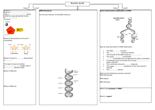 Genetic Code (New AQA spec) | Teaching Resources