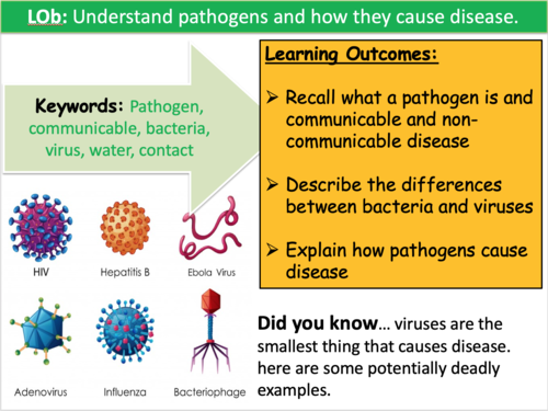 Pathogens and Disease | Teaching Resources