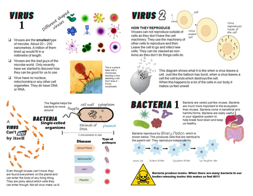 Pathogens and Disease | Teaching Resources