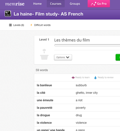 La Haine- Le contexte- Movie Study/ Etude du film- A Level French ...
