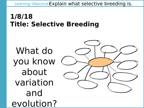 AQA GCSE: B14 Variation and Evolution: L3 Selective Breeding | Teaching ...