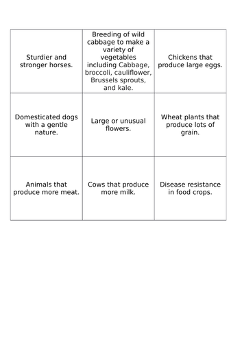 AQA GCSE: B14 Variation and Evolution: L3 Selective Breeding | Teaching ...