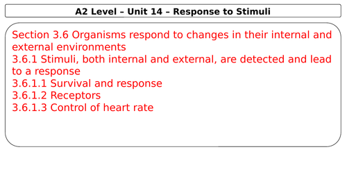 Aqa Unit 14 Response To Stimuli Revision Sheets And Answers Teaching