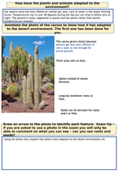 GCSE AQA 9-1 : The Living World , hot desert plant and animal ...