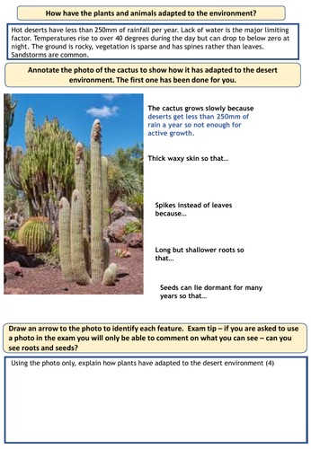 GCSE AQA 9-1 : The Living World , hot desert plant and animal ...