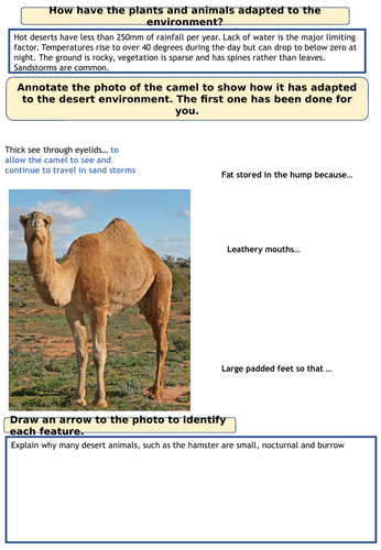GCSE AQA 9-1 : The Living World , hot desert plant and animal ...