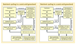 Hot semi-arid grasslands ecosystems, nutrient cycles, food chains ...