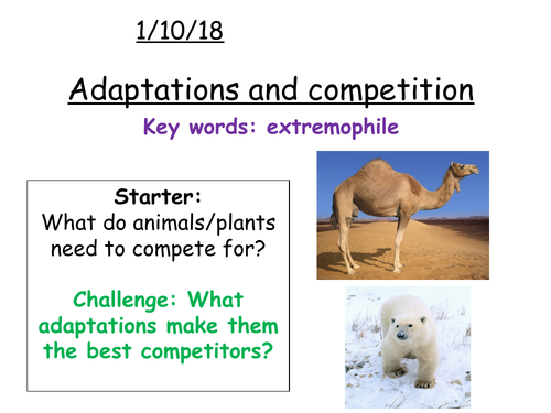 AQA GCSE Ecology - Adaptations and Competition | Teaching Resources