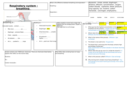 Respiratory system GCSE 9-1 | Teaching Resources