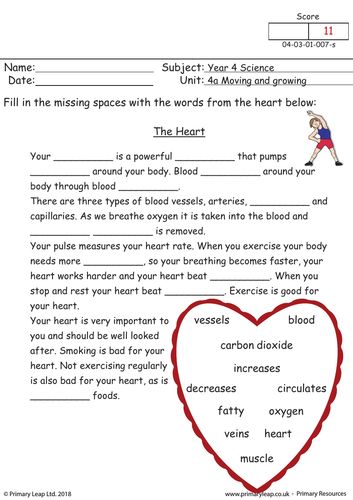 Cloze Activity - The Heart | Teaching Resources