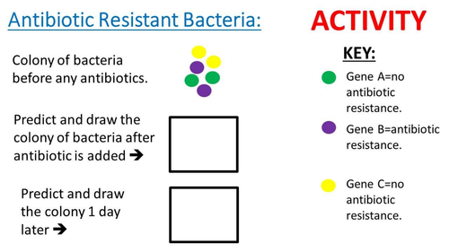 Antibiotics, antibiotic resistant bacteria, superbugs, super bugs, MRSA ...