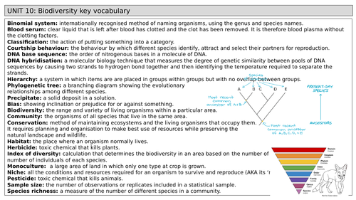 AQA A2 Biology (7402) Specification File Dividers | Teaching Resources