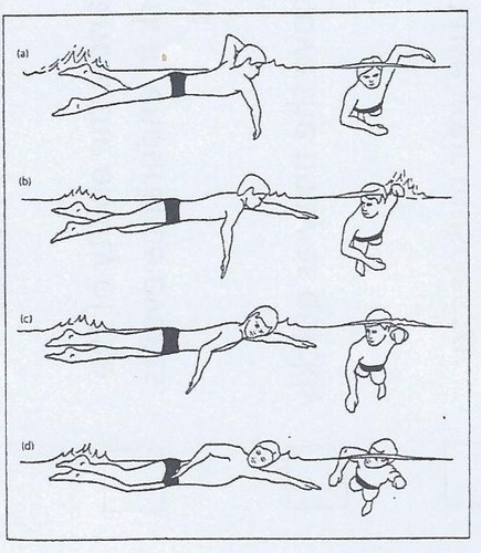 Set of Swimming Resource Cards | Teaching Resources