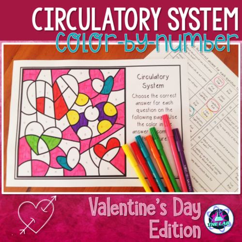 Valentine's Day Colour-by-Number Science Activity: Circulatory System ...