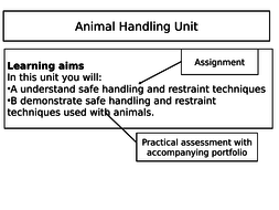Animal Care, Unit 2, Lesson 1 - Assessing Hazards and Risks when ...