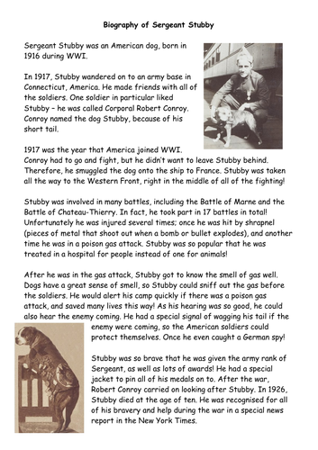 Biography of Sgt Stubby example/model text | Teaching Resources