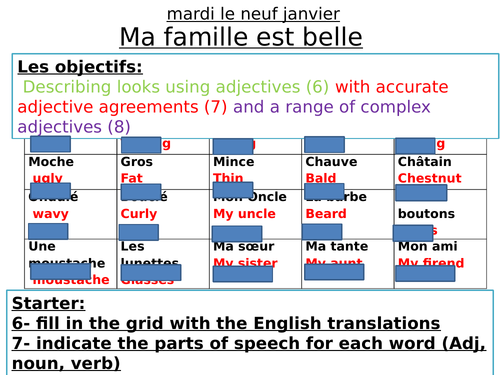 French Adjectival Agreement - appearance, family | Teaching Resources
