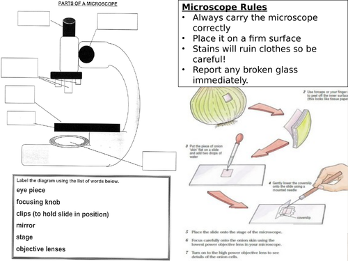 KS3 Microscopes | Teaching Resources
