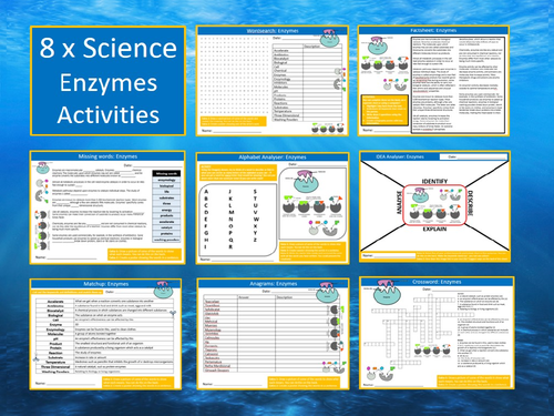 8 x Enzymes Starter Activities Keywords Wordsearch Crossword Science ...