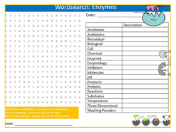Enzymes Wordsearch Puzzle Sheet Keywords KS3 Settler Starter Cover ...