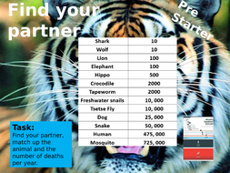 Survival / Animal Attack Lesson | Teaching Resources