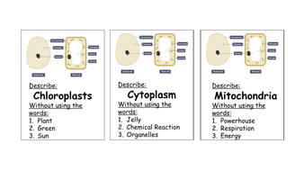 Cell Organelle Guess who | Teaching Resources