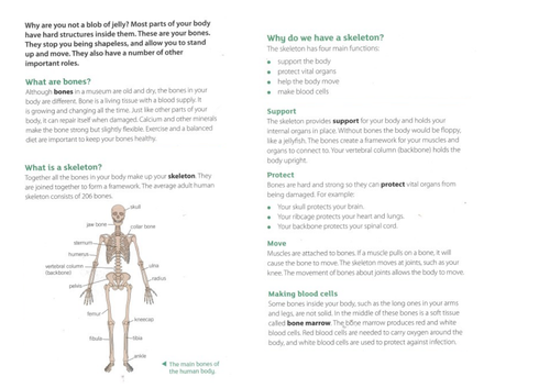 Skeleton and joints lesson and worksheet | Teaching Resources