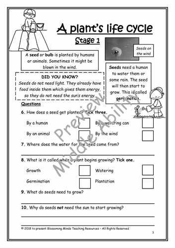Year 2 Reading Comprehension - Plants - Science | Teaching Resources