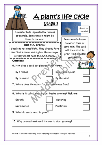 Year 2 Reading Comprehension - Plants - Science | Teaching Resources