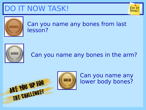 Skeletal System GCSE OCR PE (1.1a) Lower body bones PowerPoint ...