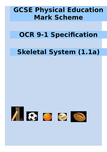 Skeletal System GCSE OCR PE (1.1a) Mark Scheme | Teaching Resources
