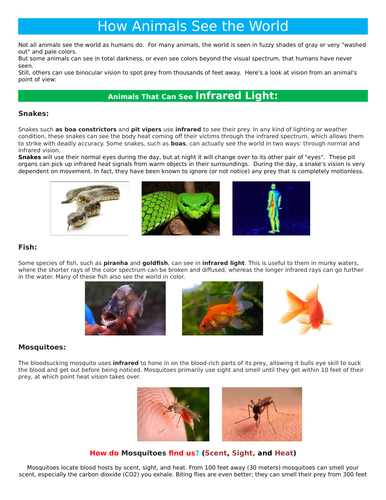 EMW - Animals that can see IR-light and UV-light | Teaching Resources