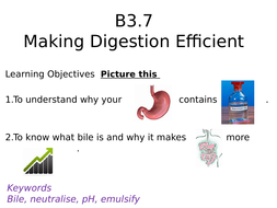 B3.7 Making Digestion Efficient NEW AQA | Teaching Resources