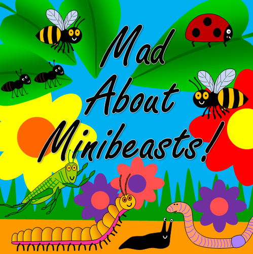 Mad About Minibeasts story topic pack- mini beasts, insects | Teaching ...