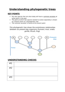 Phylogeny | Teaching Resources