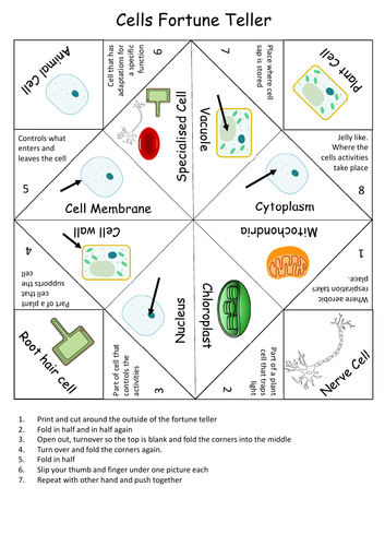 Cells Fortune Teller | Teaching Resources