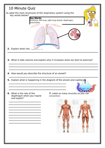 GCSE PE - Edexcel - Component 1 - Bundle of Starter Tasks - Quiz ... GCSE PE - Edexcel - Component 1 - Bundle of Starter Tasks - Quiz ...