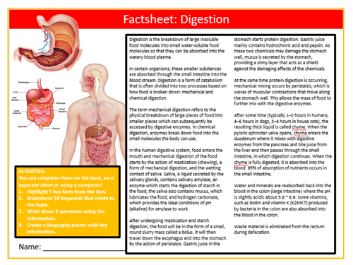Digestion Factsheet Worksheet Sheet Keywords KS3 Settler Starter Cover ...