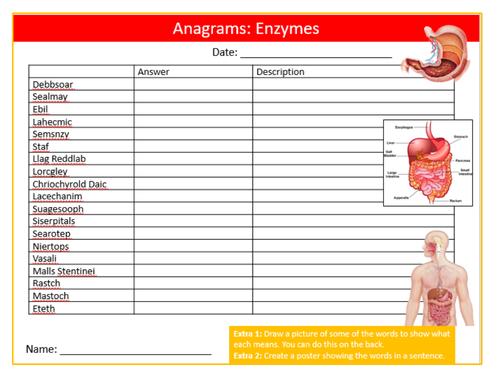 Digestion Anagrams Puzzle Sheet Keywords KS3 Settler Starter Cover ...