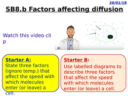 Factors Affecting Diffusion (Fick's Law) GCSE Biology Lesson (SB8b ...