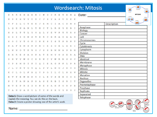 Mitosis Wordsearch Puzzle Sheet Keywords Settler Starter Cover Lesson ...