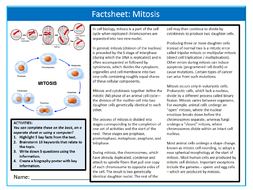 Mitosis Factsheet Worksheet Keywords Settler Starter Cover Lesson ...