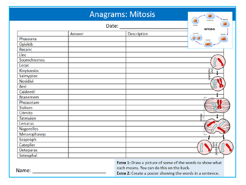 Mitosis Anagrams Puzzle Sheet Keywords Settler Starter Cover Lesson ...