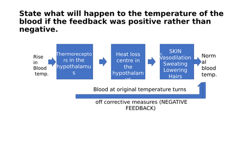 New AQA A'level Biology _Homeostasis_Feedback mechanisms_Lesson 2 ...