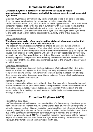 Circadian Rhythms Revision (A2 Psychology) | Teaching Resources