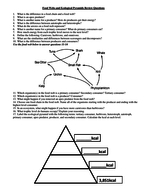Ecology: Food Webs and Ecological Pyramids Test, Review Questions, and ...