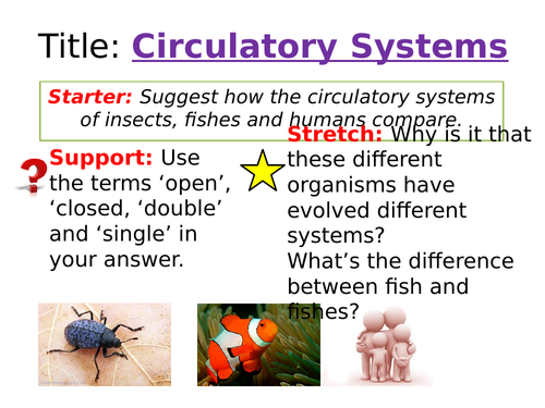 Circulatory Systems - OCR AS/A Level Biology | Teaching Resources