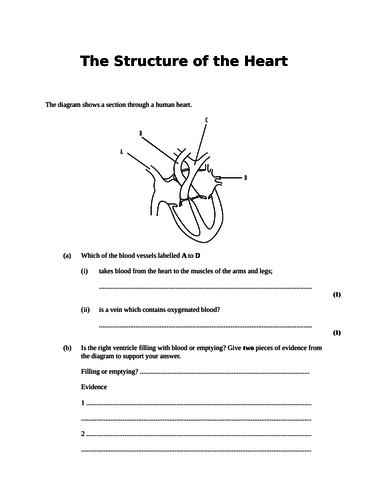 The Heart - OCR AS/A Level Biology | Teaching Resources
