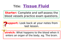 Tissue Fluid & Lymph - OCR AS/A Level Biology | Teaching Resources
