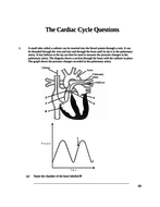 Cardiac Cycle - OCR AS/A Level Biology | Teaching Resources